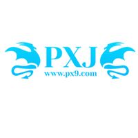 pxj thai - Developer Profile on DoSelect
